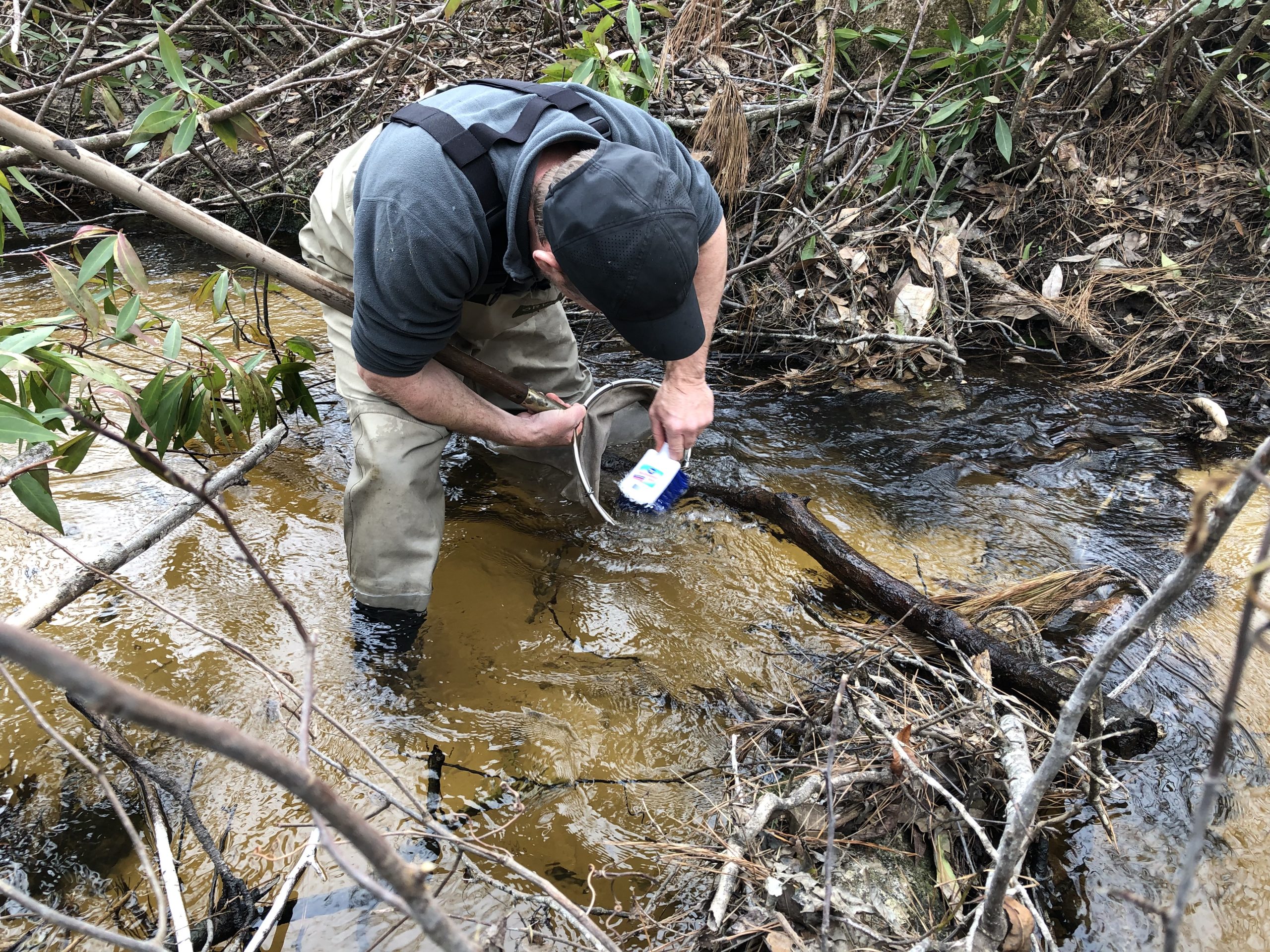 Stream Condition Index | Northern Gulf Environmental, LLC